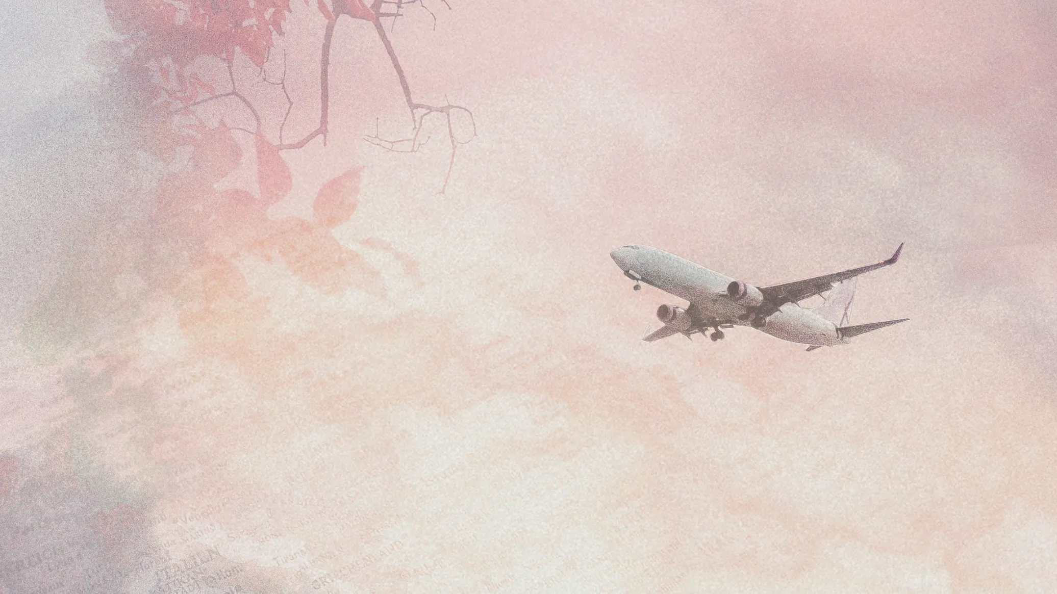 Denmark’s Global Climate Action - Strengthening the global framework of ...